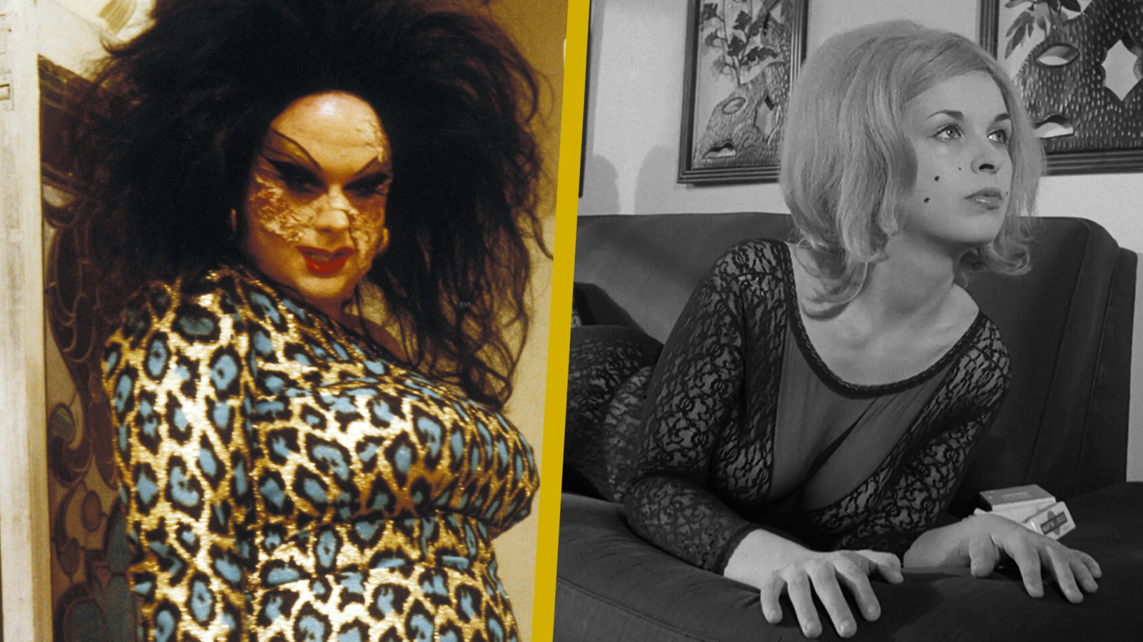 Female Trouble & Bad Girls Go to Hell Double Feature | Coolidge Corner Theater